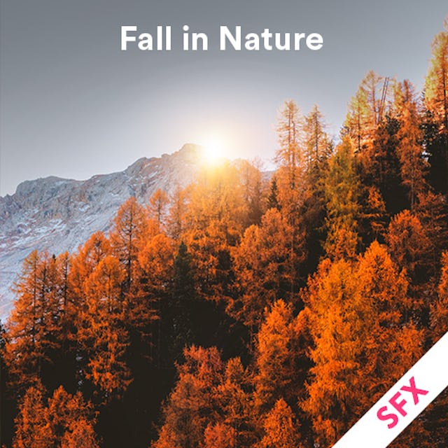 Free fall in nature sound effects • Uppbeat