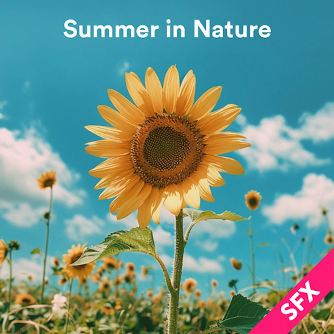 Summer in Nature • Free Sound Effects for Creators • Uppbeat