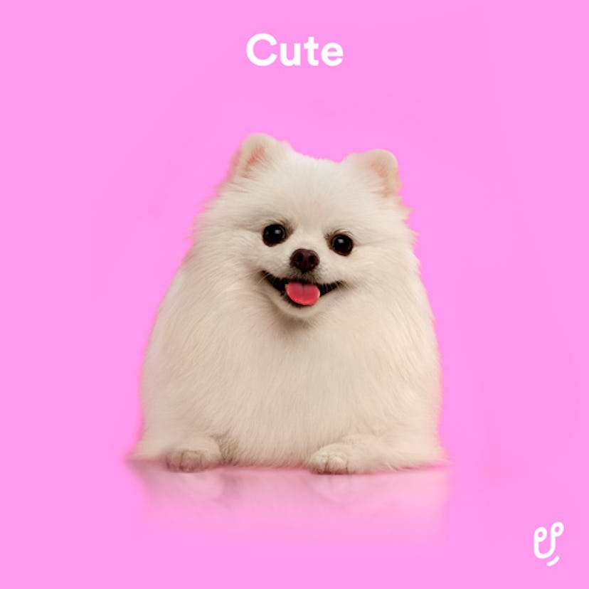 Free Cute Music • Uppbeat