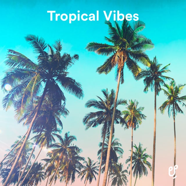 Tropical Vibes • Free Tropical Music Mix • Uppbeat