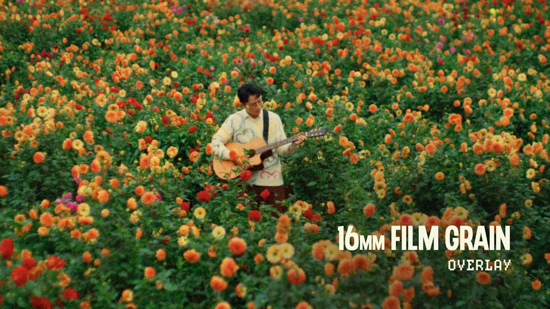 35mm Film Grain Overlay • Motion Graphics Template • Uppbeat