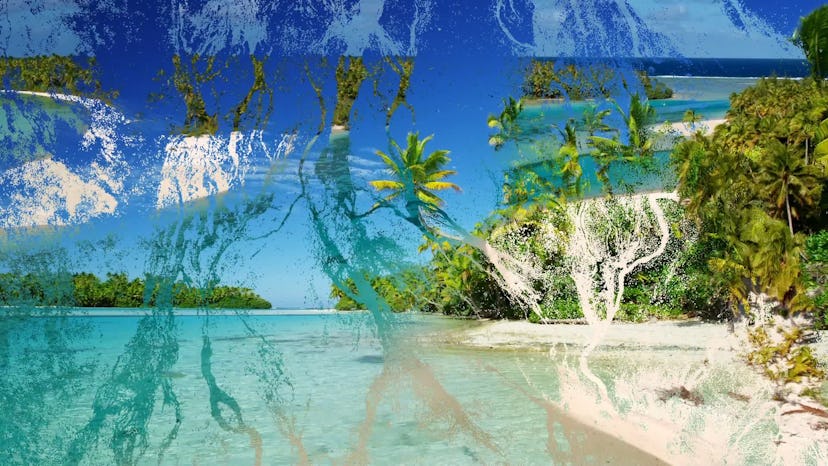 Shake Transition Pack • Free Premiere Pro Template • Uppbeat