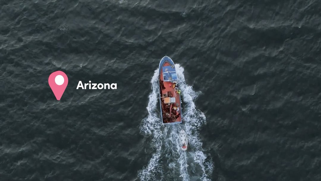 Free Cinematic Animations • Uppbeat