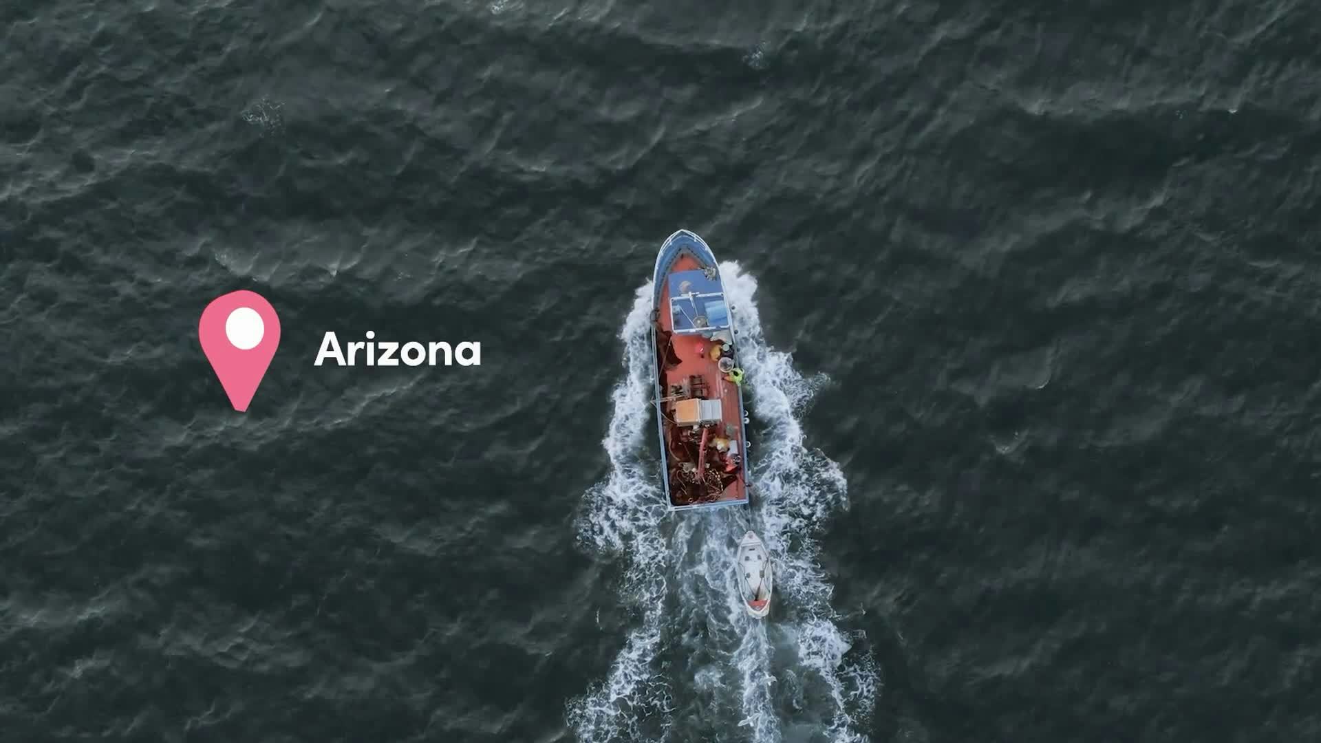 Free Cinematic Animations • Uppbeat