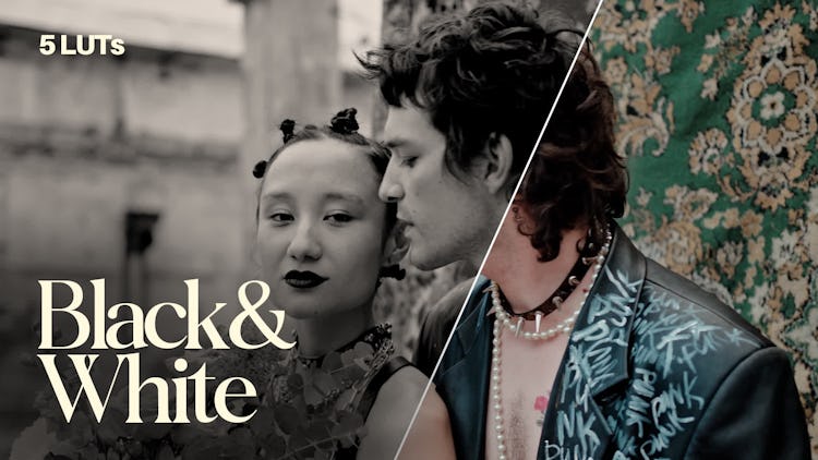 Free LUTs & color grading for video creators • Uppbeat