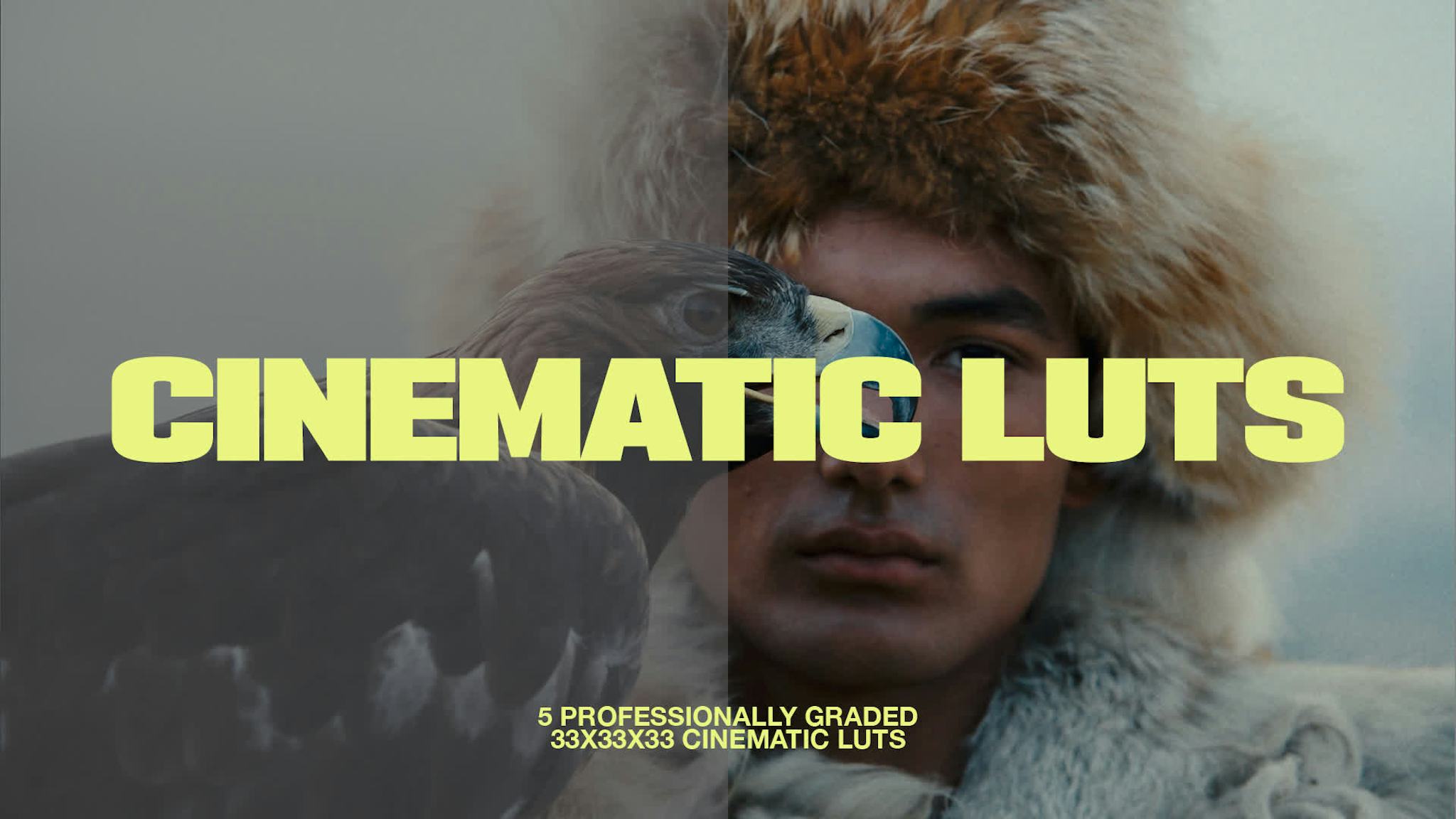 Cinematic Fujifilm LUTs Pack - Free LUT for video editing | Uppbeat