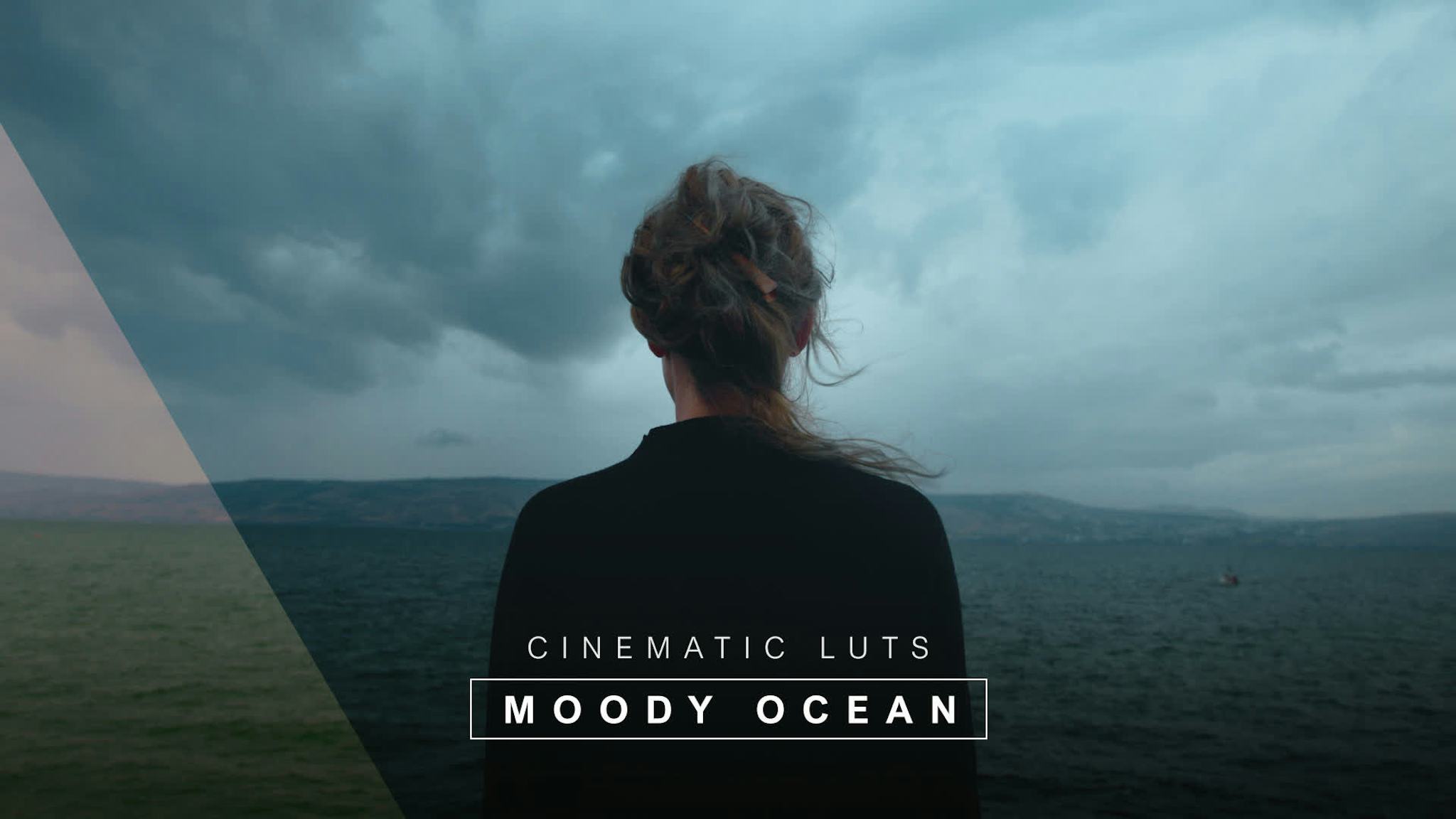 Cinematic Shadow Blue - Free LUT for video editing | Uppbeat