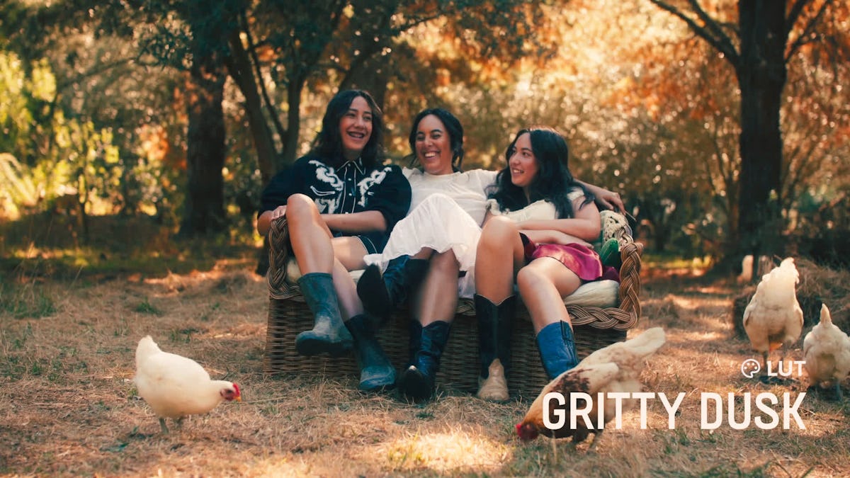 Night Overlay LUT - Free LUT for video editing | Uppbeat