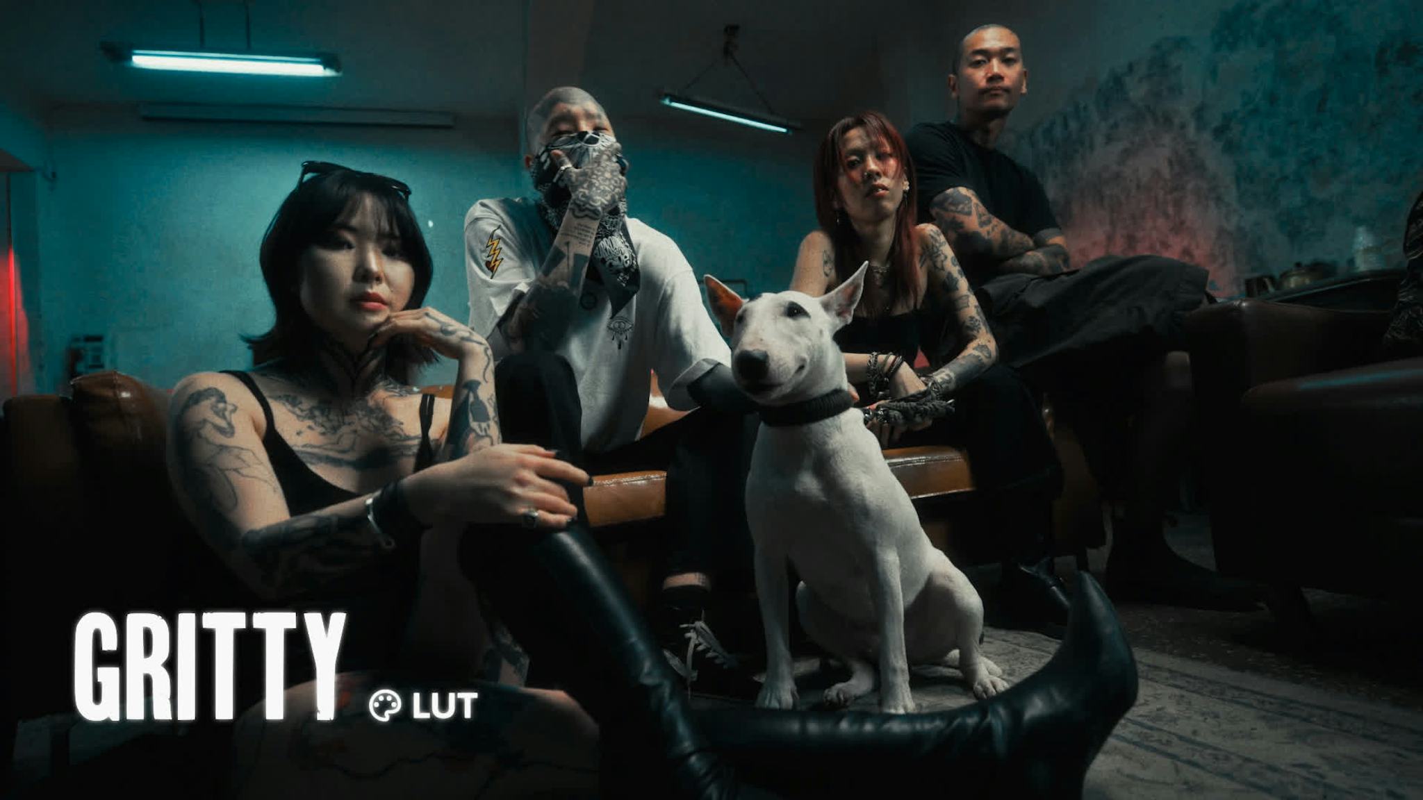 Punch Overlay LUT - Free LUT for video editing | Uppbeat