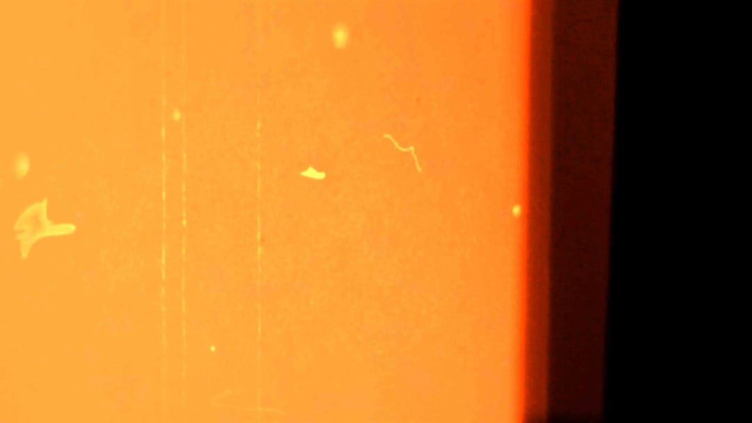 Free Film Grain Overlays • Uppbeat