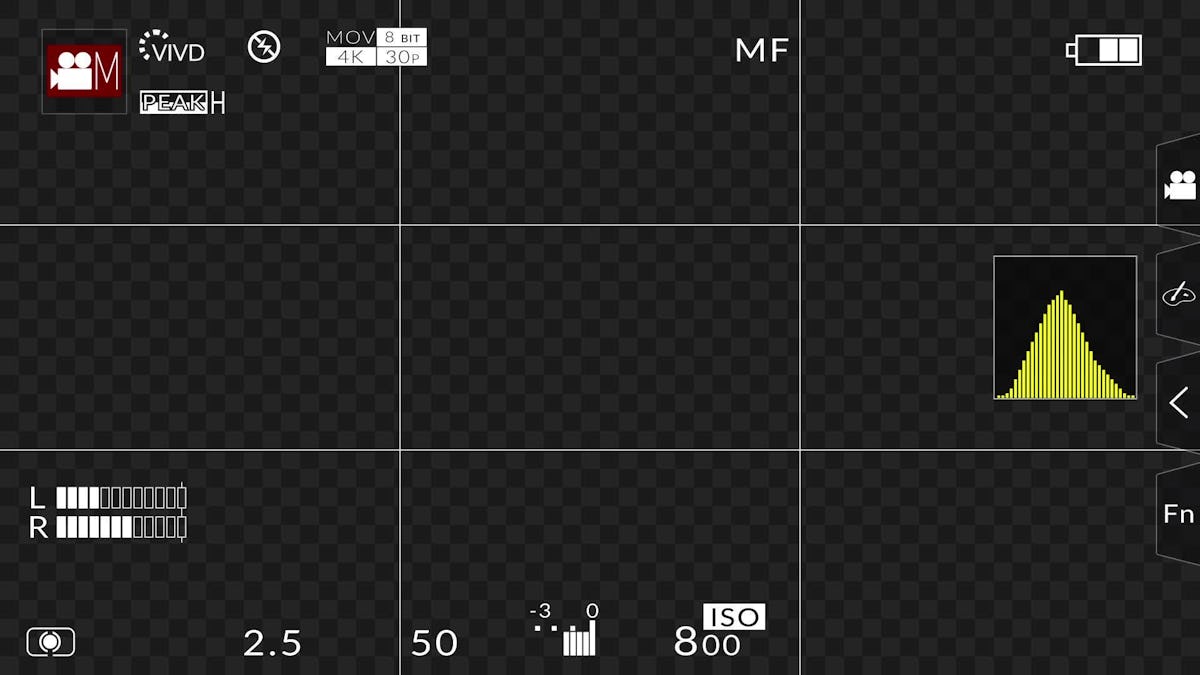 Simple Camera Record Overlay • Free Motion Graphics Template • Uppbeat