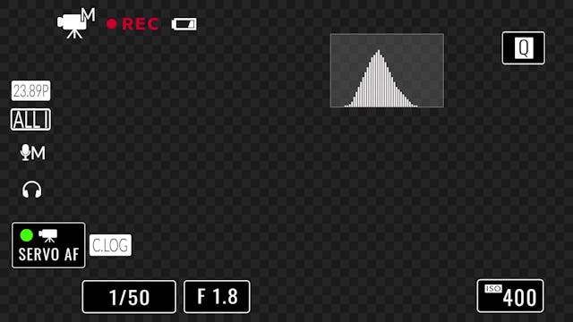 Interface Camera Recording Overlay • Motion Graphics Template • Uppbeat