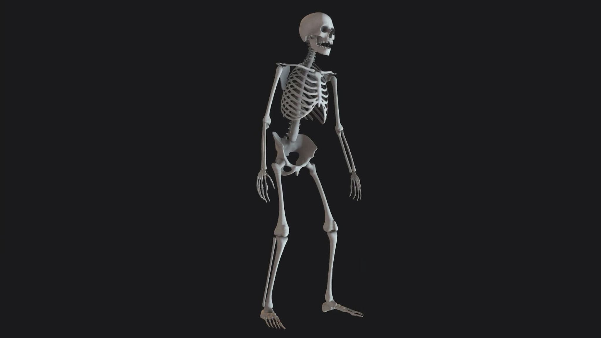 Skeleton Stood Looking • Motion Graphics Template • Uppbeat