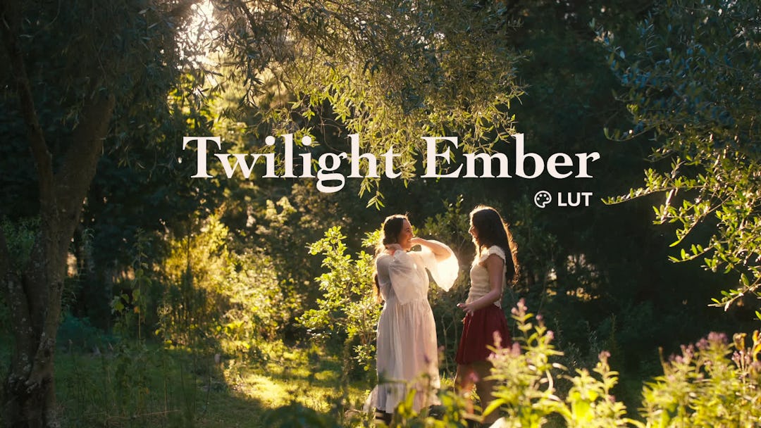 Night Overlay LUT - Free LUT for video editing | Uppbeat