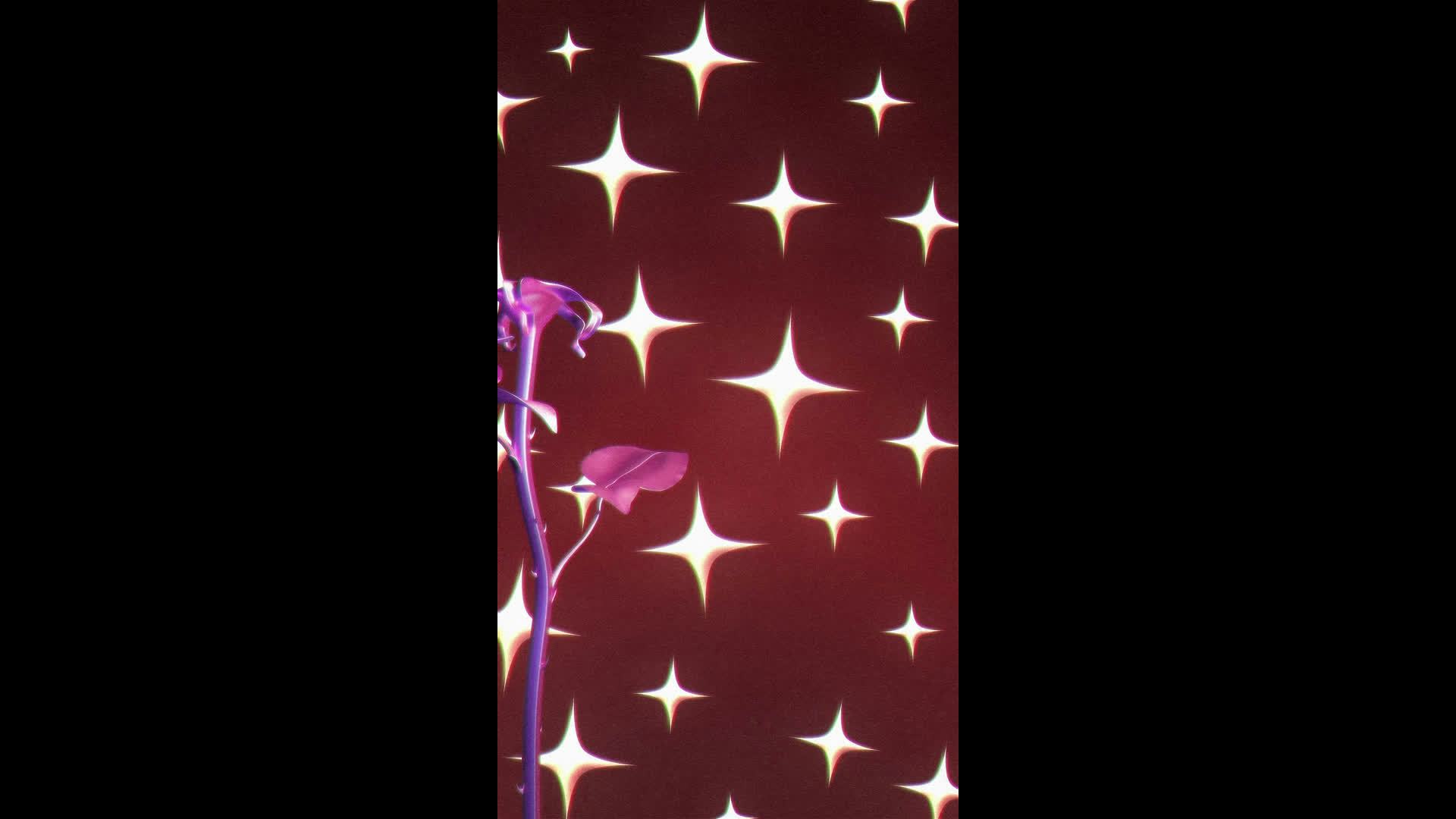 Vertical Transitions - Pack 2 • Motion Graphics Template • Uppbeat