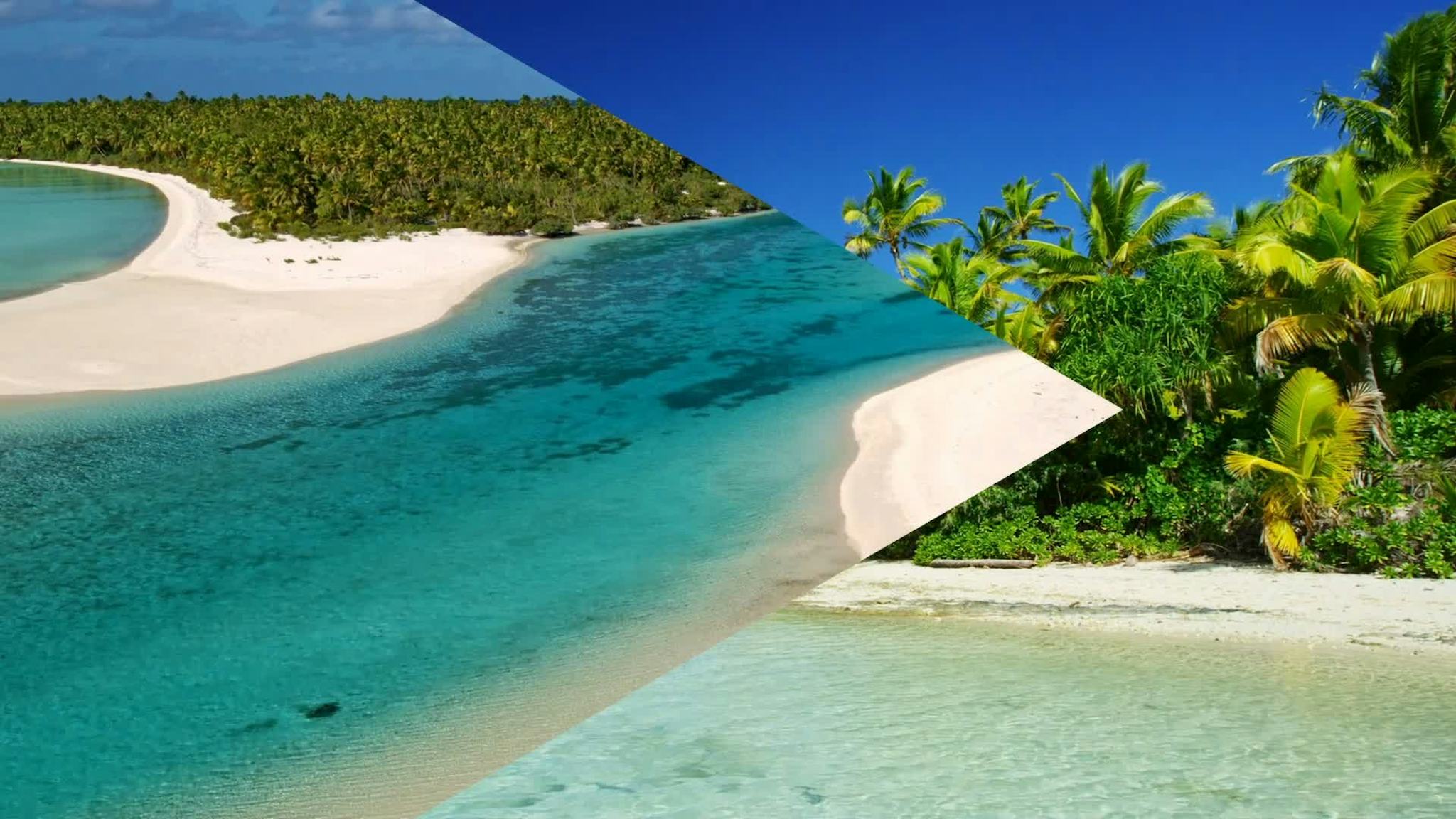 Shake Transition Pack • Free Premiere Pro Template • Uppbeat