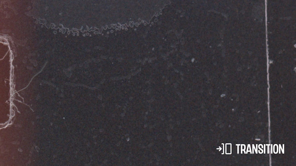 Light Transitions • Free Motion Graphics Template • Uppbeat