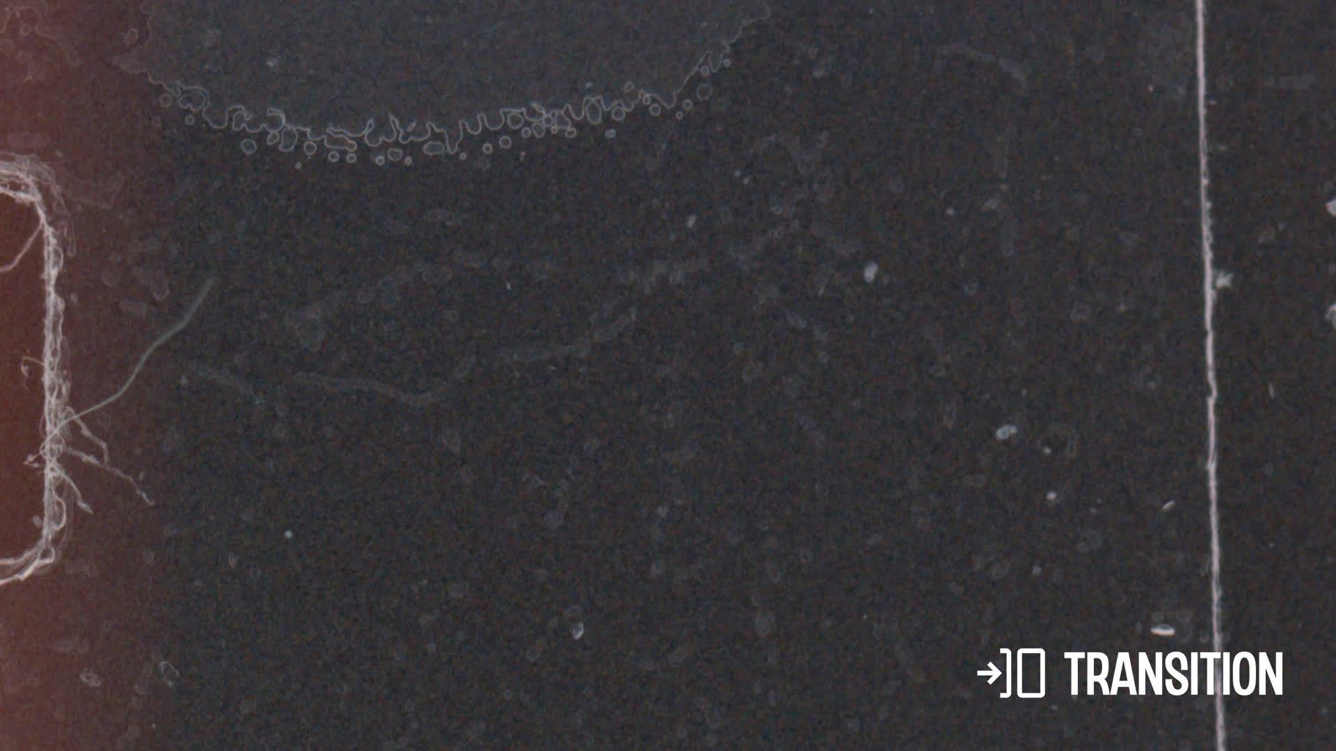 Light Transitions • Free Motion Graphics Template • Uppbeat