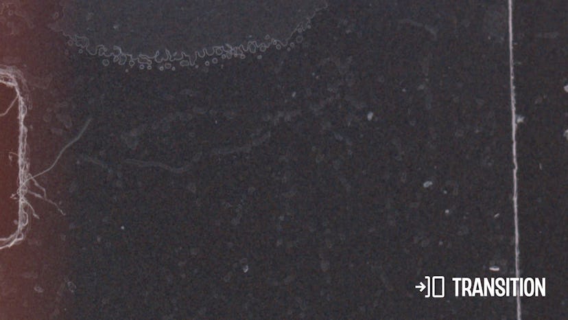 Light Transitions • Free Motion Graphics Template • Uppbeat