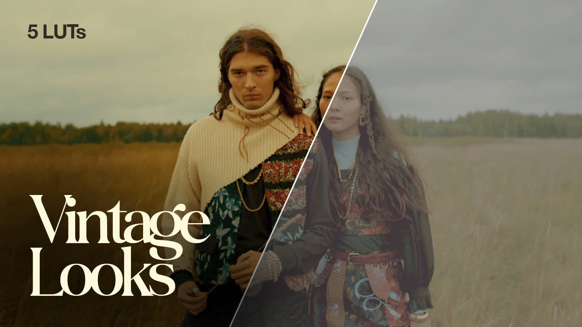 Cinematic Looks - Free LUT for video editing | Uppbeat