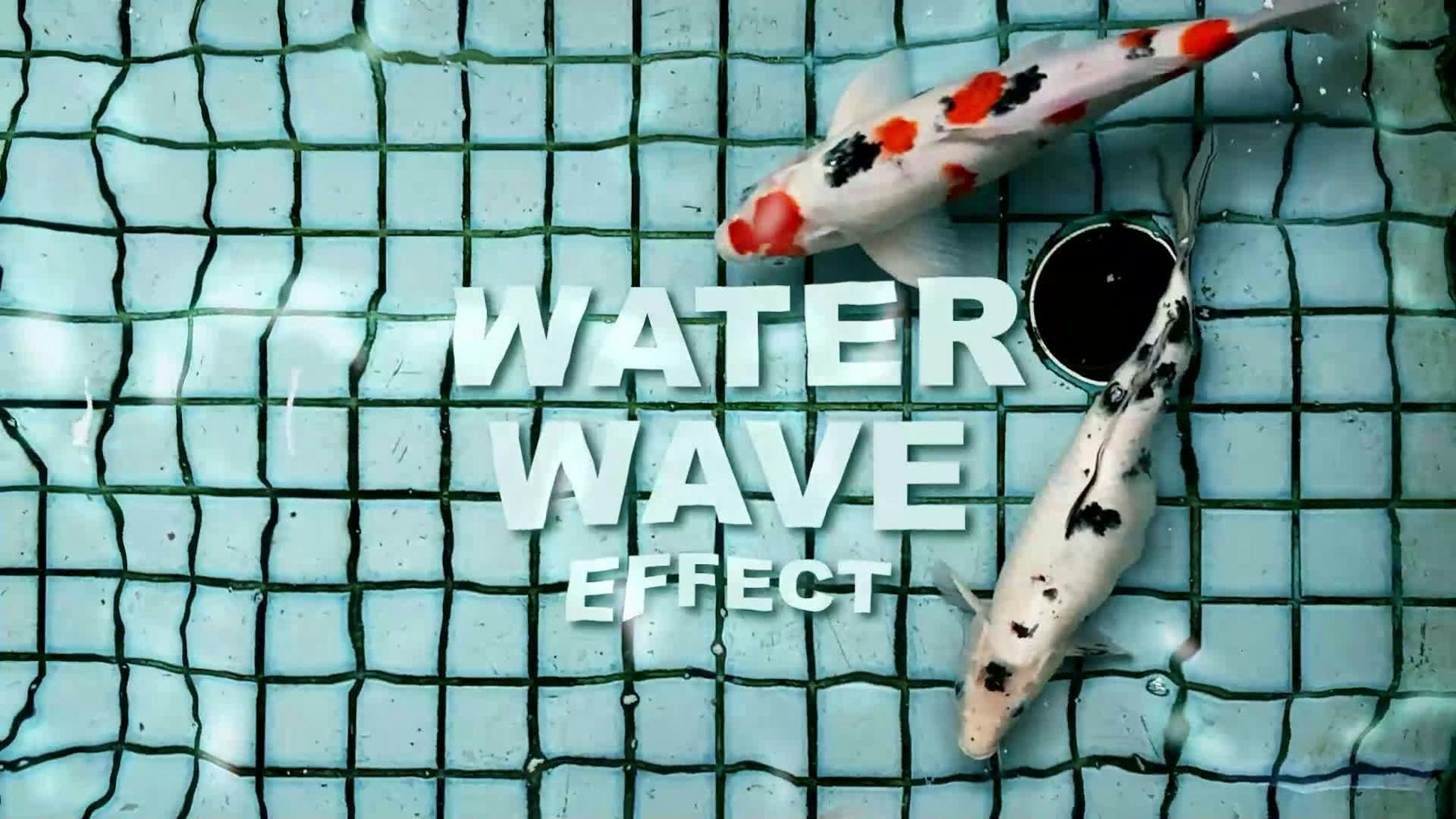 Free Video Overlays • Uppbeat